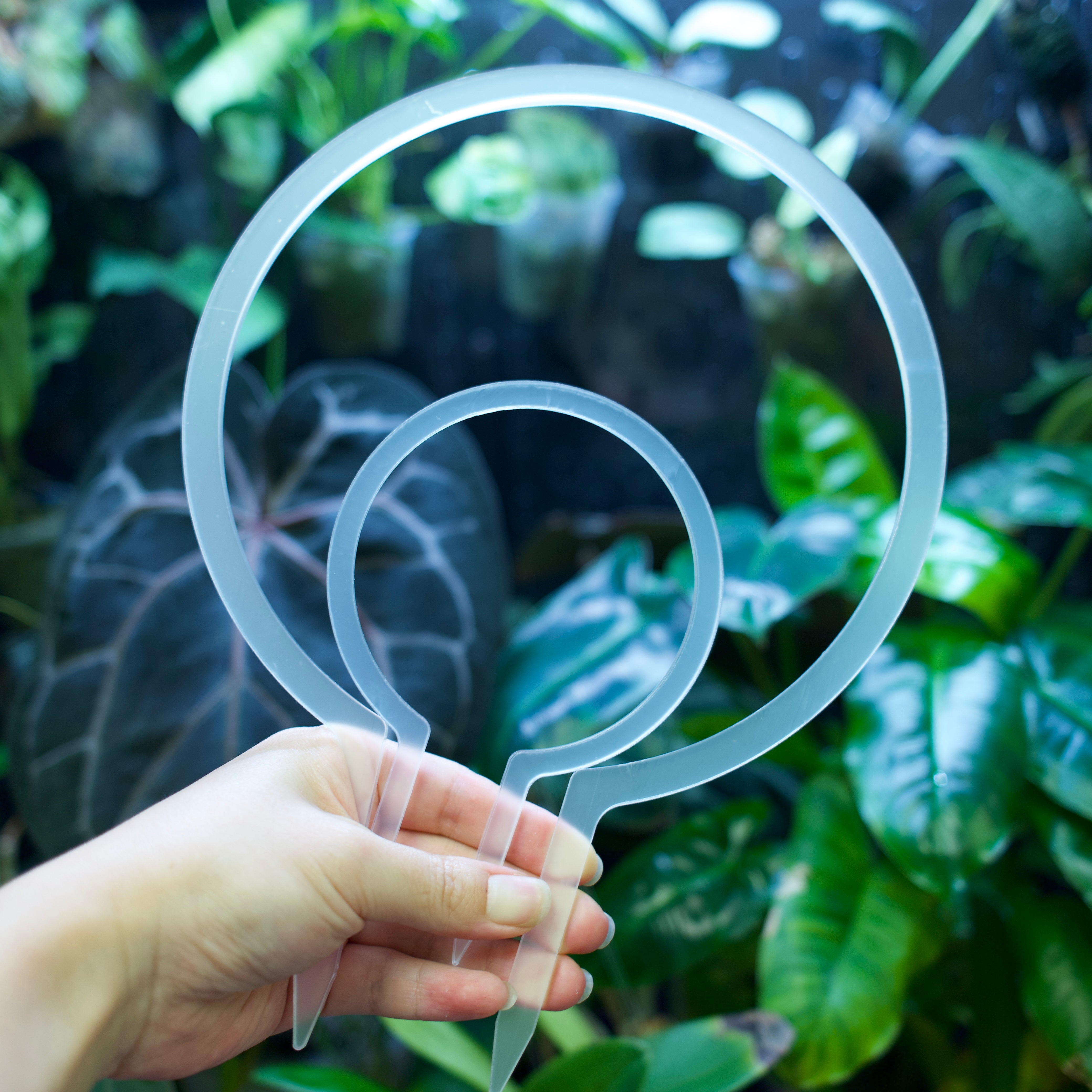 Clear Acrylic Circle Trellis Duo – Plantal Support INC